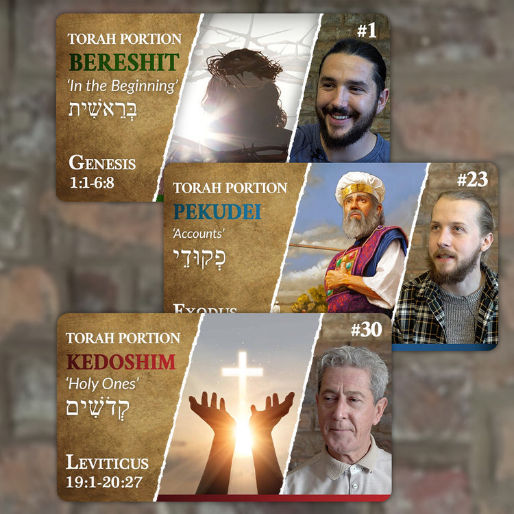 Weekly Torah Portion